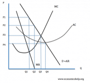 Profit v Revenue Objectives for Firms - Economics Help