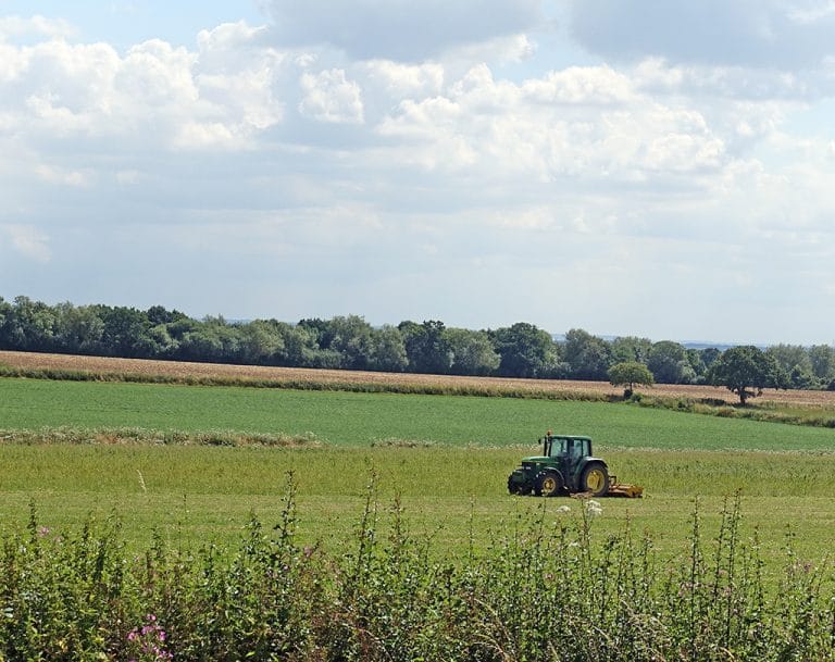 Primary Products - Economics Help