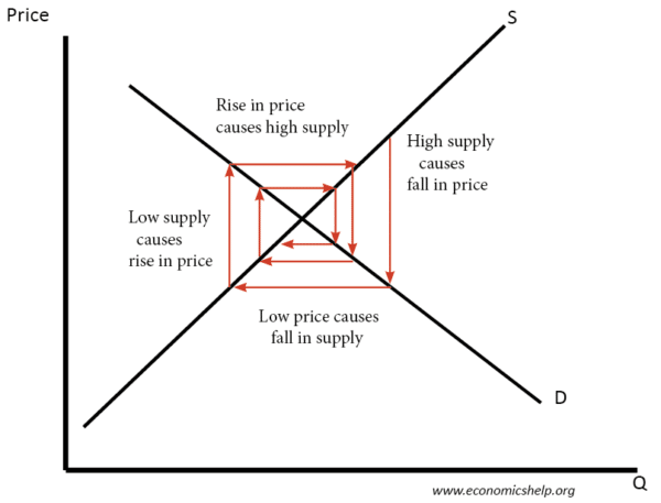 Cobweb theory - Economics Help